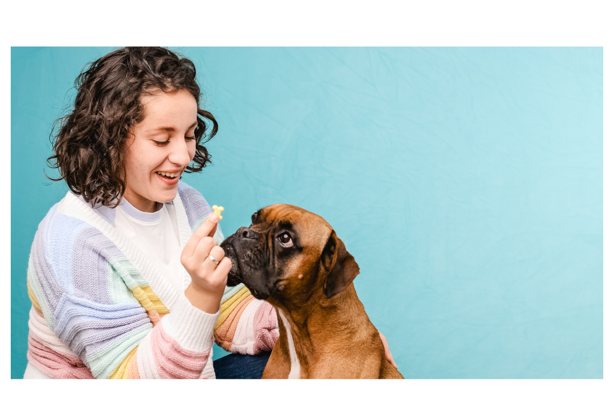 Unlocking the Power of Rewards for Your Dog: Why It’s More Than Just T ...