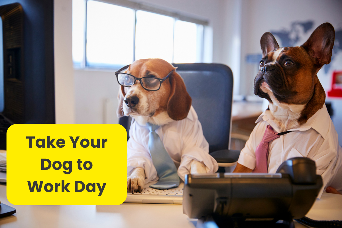 💼 Dogs in the Break Room? Yes Please! Celebrate Take Your Dog to Work ...